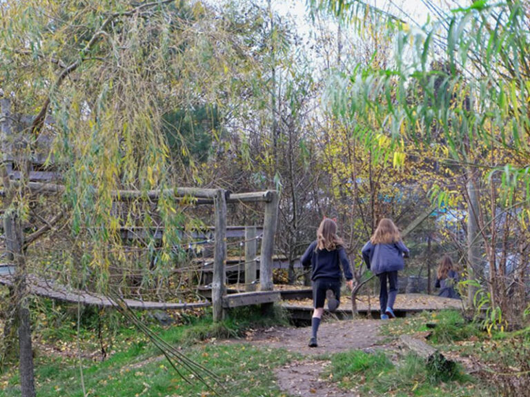 The Urban Jungle, Merrylee Primary School - Scotland's Landscape Alliance